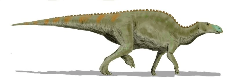 Edmontosaurus - Dinosaur Wiki