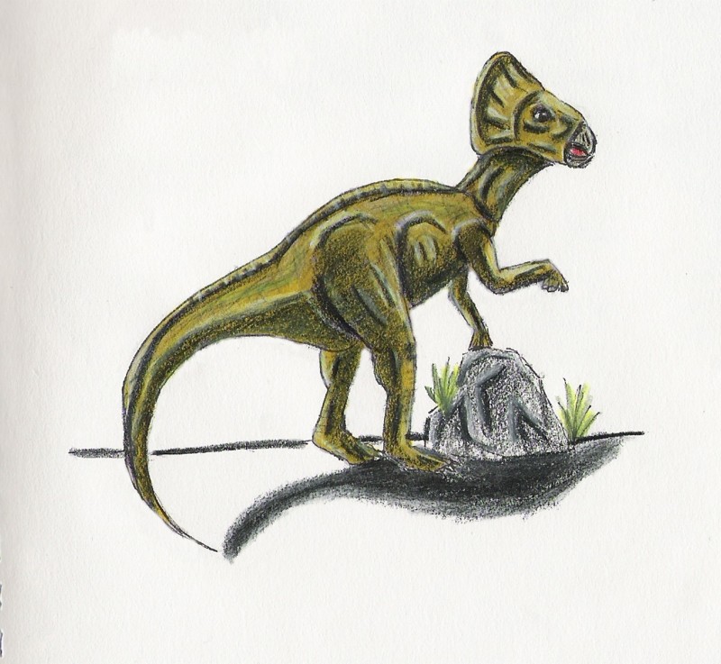 Microceratops - Jurassic Park Wiki