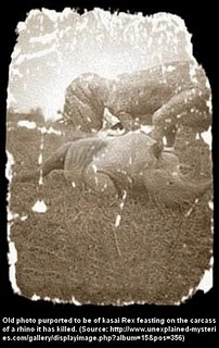 Kasai Rex - Cryptid Wiki