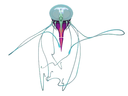 Scyphozoa - Code Lyoko Wiki