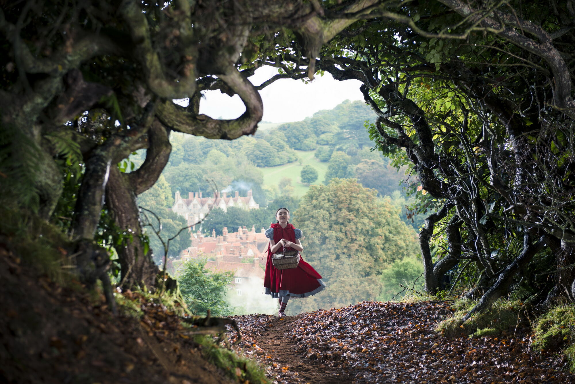 Little Red Riding Hood Into The Woods Disney Wiki Wikia