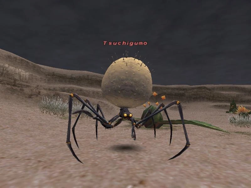 Tsuchigumo - FFXIclopedia, the Final Fantasy XI wiki - Characters ...