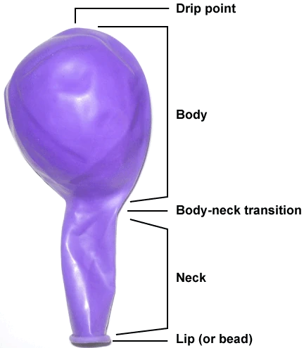 Anatomy of a balloon - Balloons Wiki