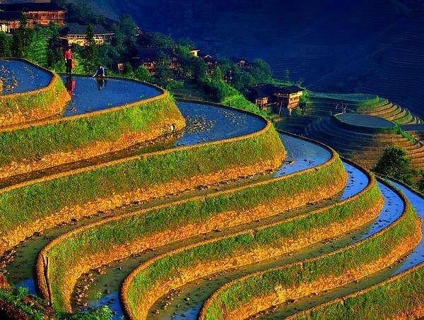 Mayan Terrace Farming