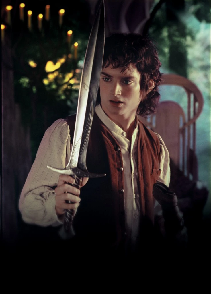 Frodo Balings - In de ban van de ring Wiki