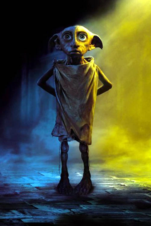 Image - Noldus.jpg - Harry Potter