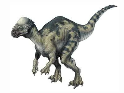 Pachycephalosaurus - Jurassic Park Wiki