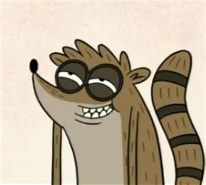 Regular Show Rigby Face