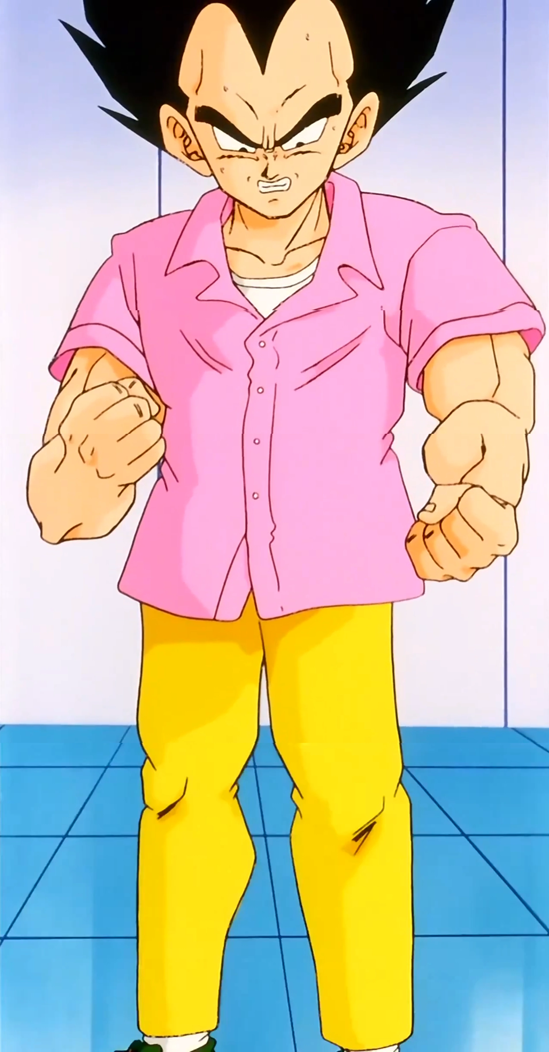 Imagen - Vegeta Ropa Rosa Completo.png - Dragon Ball Wiki