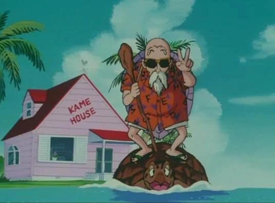 Master Roshi - Team Four Star Wiki