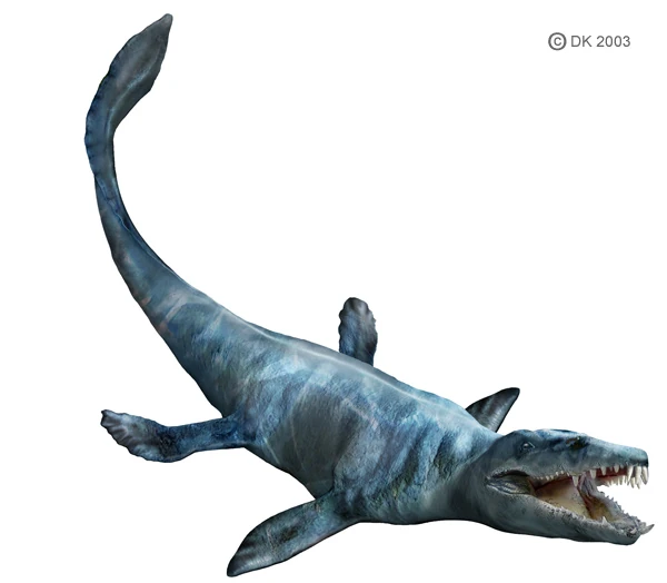 Archivo:Mosasaurus.jpg - Wiki Dino