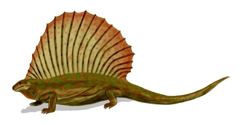 Edaphosaurus - Wiki Prehistórico