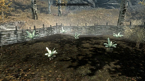 Avrusa Sarethi – Das The Elder Scrolls Wiki - Oblivion, Skyrim, Elder ...