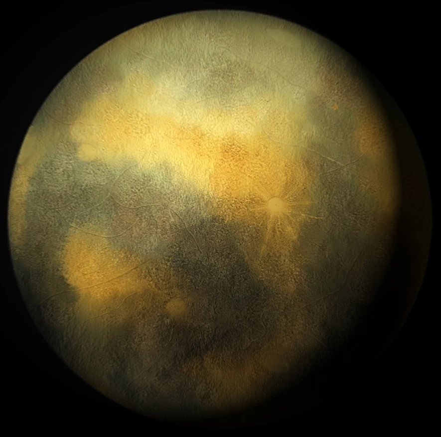 Pluto (dwarf planet) - Offical Planetary Probes Wiki