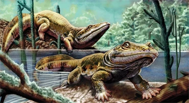 Paleozoic - Dinopedia - the free dinosaur encyclopedia