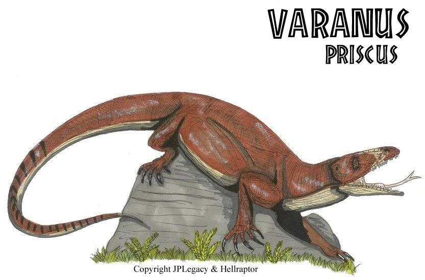 Megalania (Varanus) priscus - JPL Live the Legend Wiki