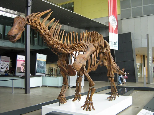 Amargasaurus - Dinopedia - the free dinosaur encyclopedia