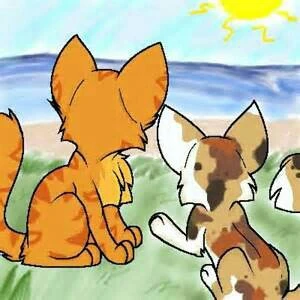 Firestar And Spottedleaf Warriors