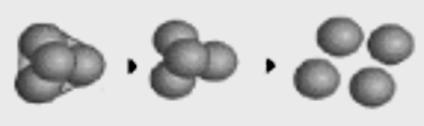 Tetrad Dissection - Get Your Science On Wiki