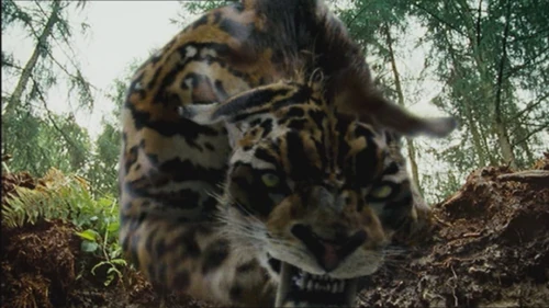 Image - 2x3 Smilodon 23.jpg - Anomaly Research Centre