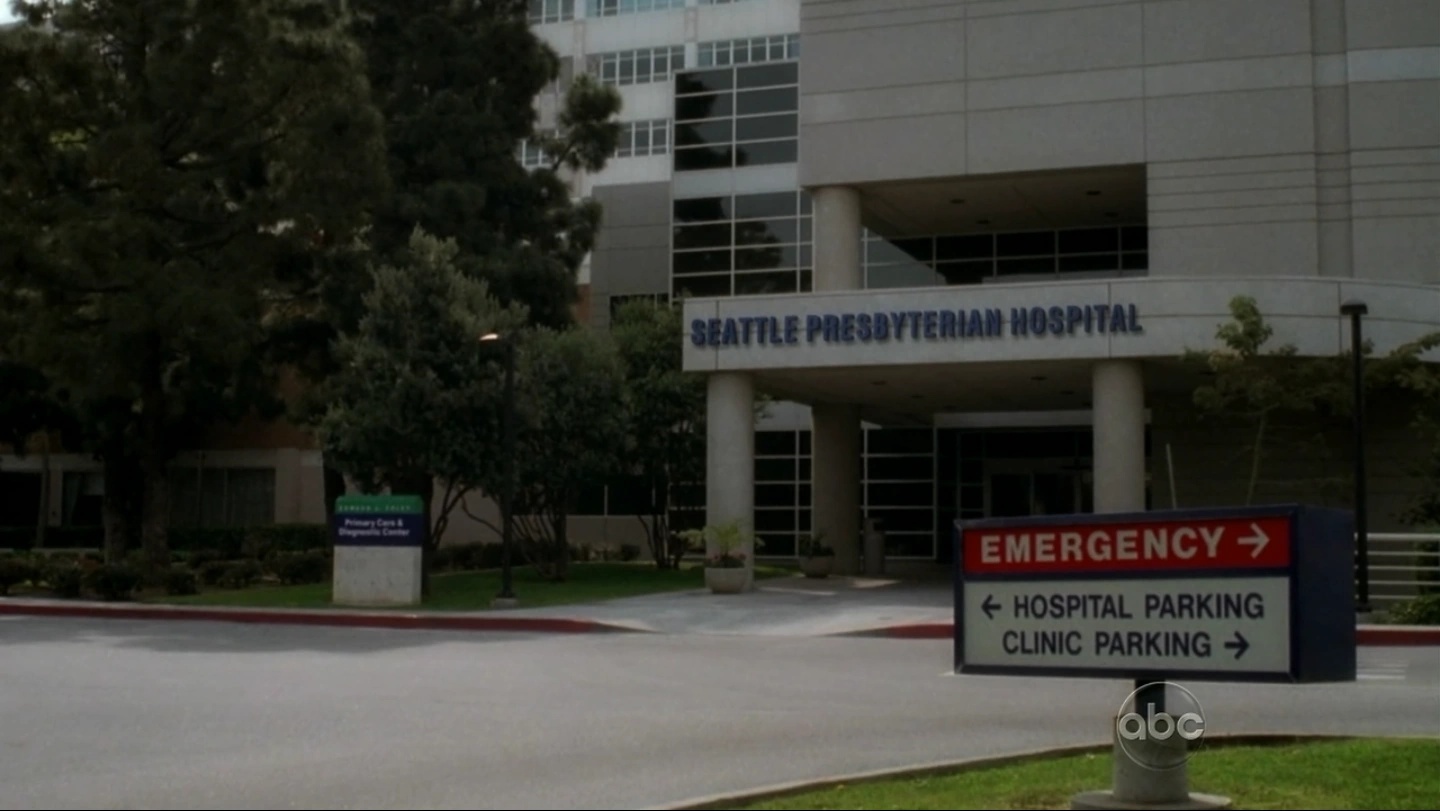 Grays Anatomy Hospital