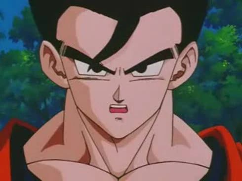 Gohan de grande - Imagui
