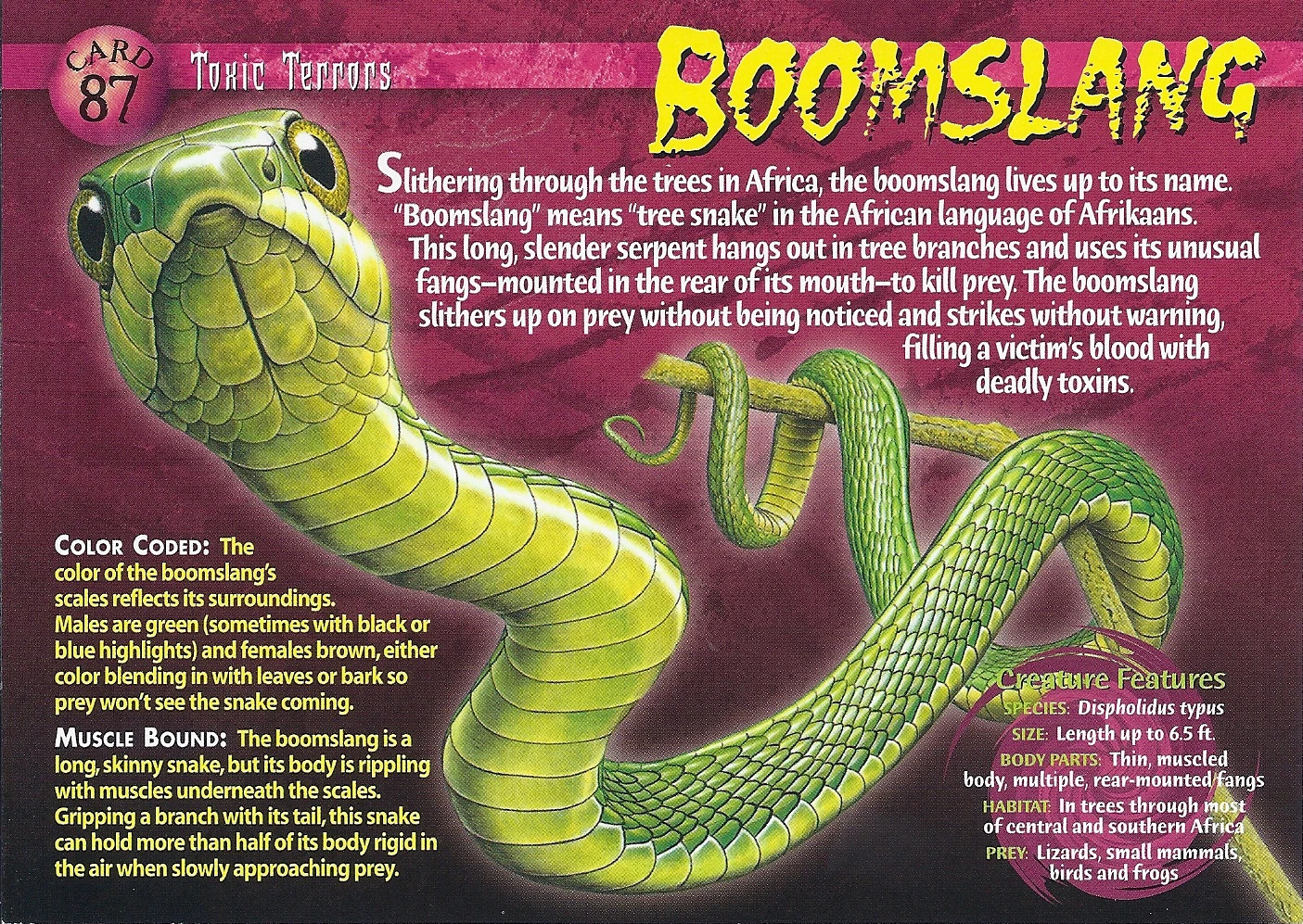 Boomslang - Wierd N'wild Creatures Wiki
