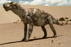 Gorgonopsid - Walking with Trilogy Wiki