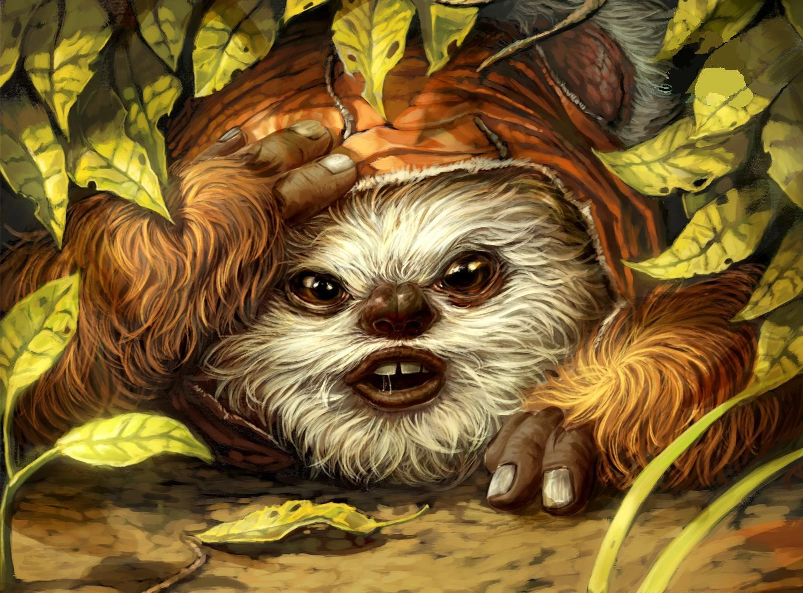 Ewok - Wookieepedia, the Star Wars Wiki