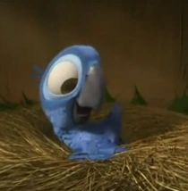 Image - Baby blu in the nest.png - Rio Wiki