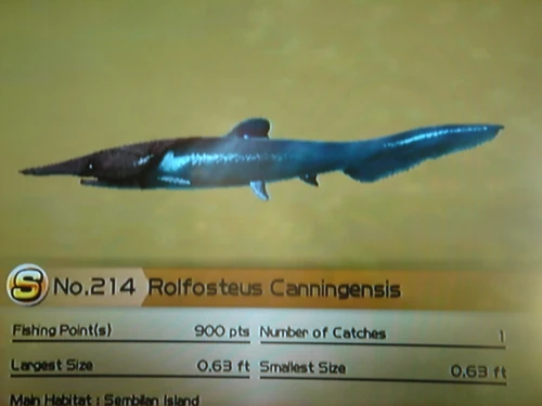 Rolfosteus Canningensis - Wii Fishing Resort Wiki