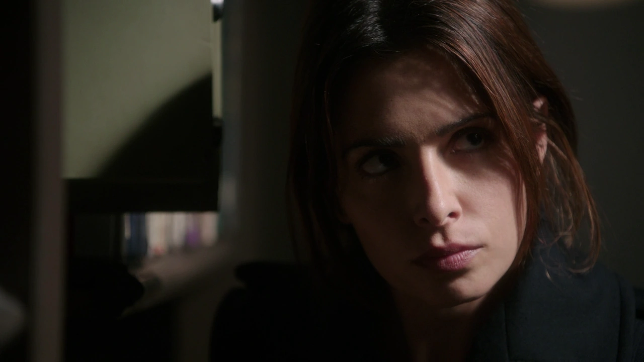 Shaw (Sarah Shahi) Appreciation Thread pagina 8 POI Forum Person Of ...