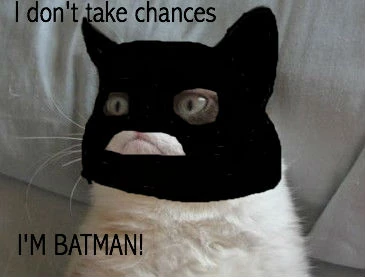 Image - Grumpy Cat Batman.jpg - Disney Create Wiki