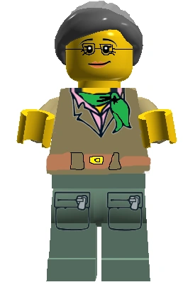 Lego Ninjago Misako