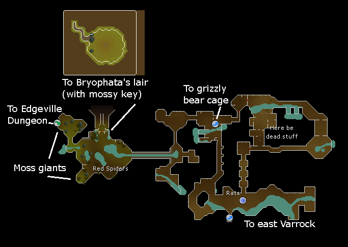 Varrock Sewer - The Old School RuneScape Wiki