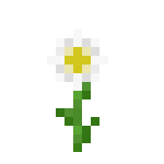 Oxeye Daisy - Minecraft Wiki
