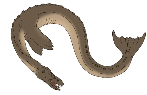 Cadborosaurus Willsi