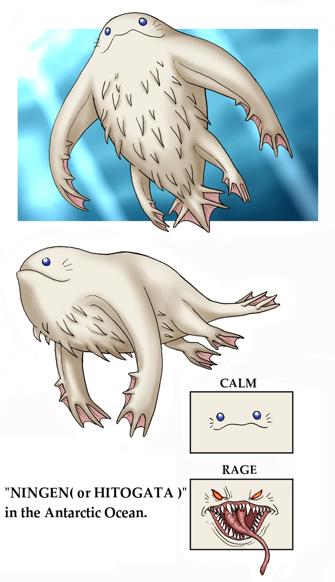 Image - Ningen,,,,,.jpg - Cryptid Wiki