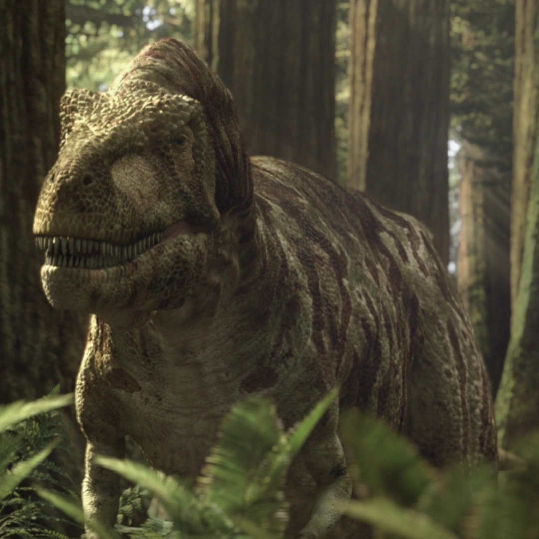 Image - DaspletosaurusPortrait.png - Planet Dinosaur Wiki