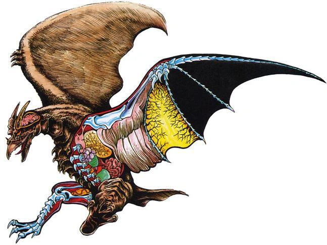 Image - Rodan anatomy.png | Wikizilla, the Godzilla Resource and Wiki