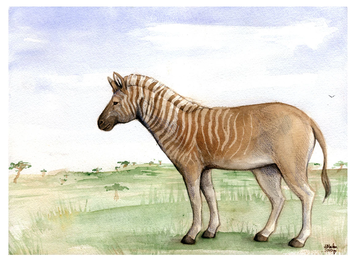 Image - Quagga 2.jpg - Dinopedia - the free dinosaur encyclopedia
