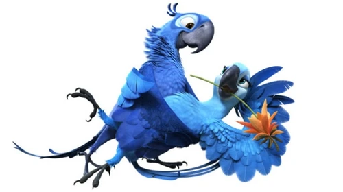 Image - Blu Jewel dance.jpg - Rio Wiki