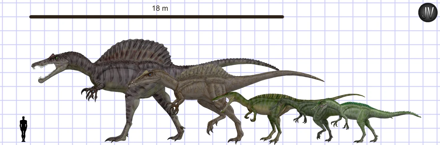 Spinosauridae - Wiki Prehistórico