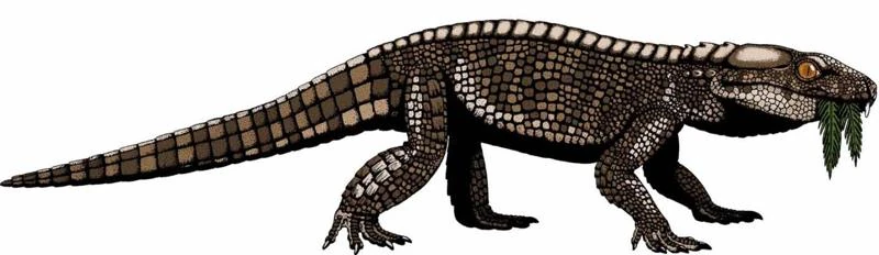 Oviraptor Dinopedia The Free Dinosaur Encyclopedia Wikia