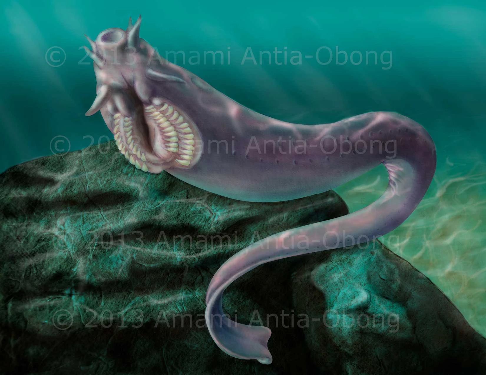 Image - Hagfish final-2.jpg - Dinopedia - the free dinosaur encyclopedia