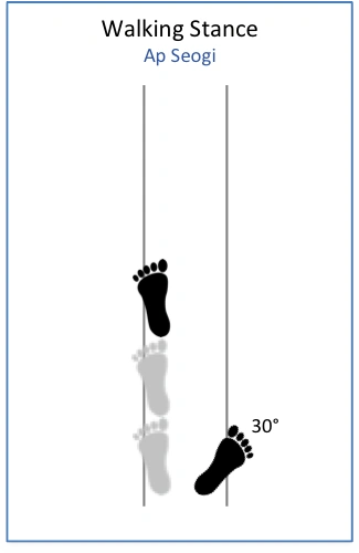 Walking Stance - Taekwondo Wiki