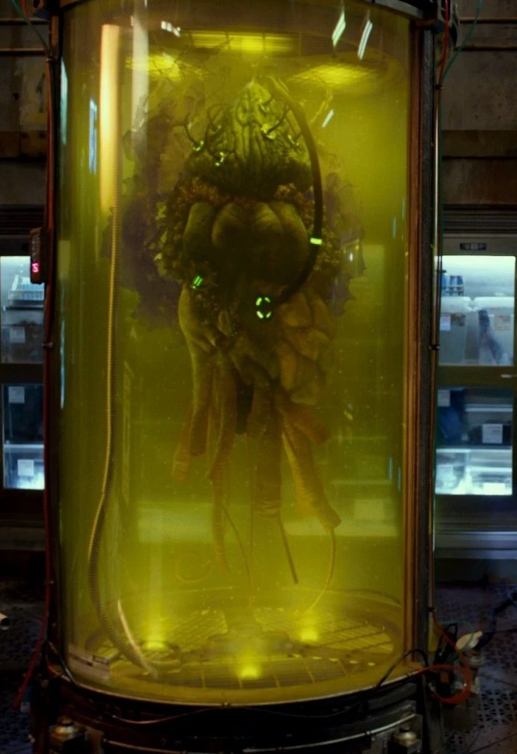 카이주 - 우만위키