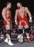 Steiner Brothers/Image gallery - Pro Wrestling Wiki - Divas, Knockouts ...