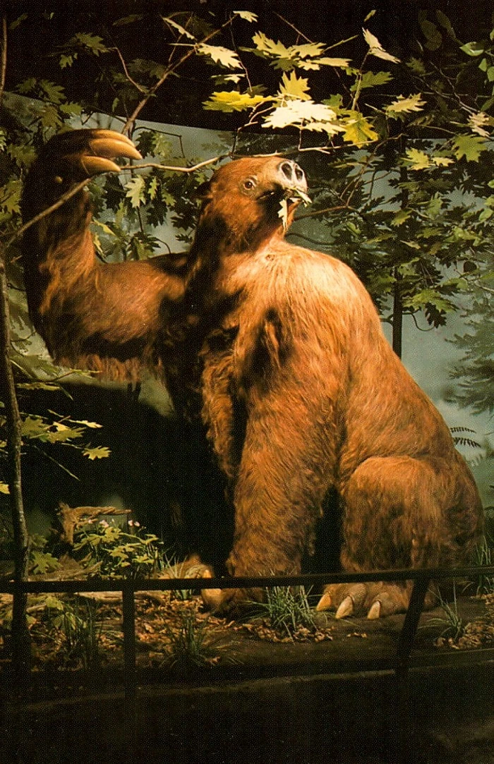 Mapinguari - Cryptids and Myths Wiki