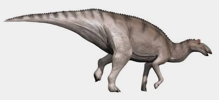 Edmontosaurus - Dinopedia - the free dinosaur encyclopedia